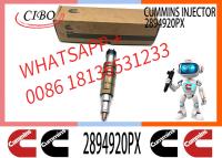 China Common rail injector fuel injecto 2894920PX 2058444 2482244 2031386 1933613 2030519 for ISZ13 Excavator DC09 DC16 DC13 for sale
