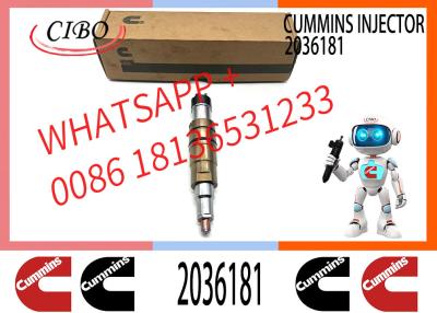 China Common Rail Injector Assembly 2036181 2897320 1933613 2030519 2031836 2872289 2086663 for sale