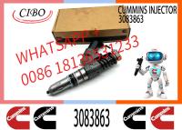 China Common rail injector fuel injecto 3411756 4903084 3083849 3083863 4307516 3411845 for M11 Excavator QSM11 ISM11 M11 for sale