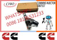 China Diesel Engine Fuel Injector 3411752 3084589 3087557 3411752 3411761 4307547 3411752 For CUM-MINS ISM QSM M11 Engine for sale