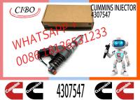 China Diesel M11 Engine Fuel Injector Assembly 4026222 4903084 3083871 3411752 3411761 4307547 4928171 3411753 3037772 for sale