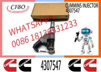 China Diesel M11 Engine Fuel Injector Assembly 4026222 4903084 3083871 3411752 3411761 4307547 4928171 3411753 3037772 for sale