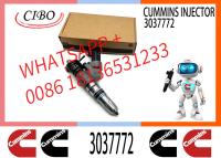 China Fuel Injector Assembly 3037772 3095040 3411756 3083849 3087557 4307516 3411845 For Cum-mins Engine M11 for sale
