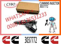 China Fuel Injector Assembly 3037772 3095040 3411756 3083849 3087557 4307516 3411845 For Cum-mins Engine M11 for sale