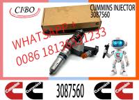 China Diesel Fuel Injector N14 Common rail injector 3087560 3411752 3411765 3095086 3411767 3411764 3081315F 3073995F for sale