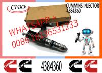 China Diesel Common Rail Fuel Injector Assembly 4307516 3087560 4384360 3087733 3095086 3411767 for Cum-mins N14 engine for sale