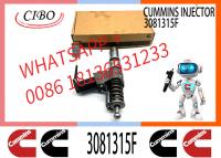 China Fuel Injector Assembly 3081315F 3411759 4384360 3411762 4307516N 3411767T 3407776 3087807 For Cum-mins Engine N14 for sale