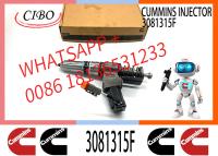 China Fuel Injector Assembly 3081315F 3411759 4384360 3411762 4307516N 3411767T 3407776 3087807 For Cum-mins Engine N14 for sale
