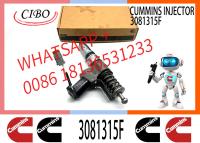 China Fuel Injector Assembly 3081315F 3411759 4384360 3411762 4307516N 3411767T 3407776 3087807 For Cum-mins Engine N14 for sale