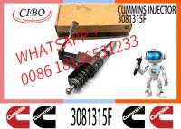 China Fuel Injector Assembly 3081315F 3411759 4384360 3411762 4307516N 3411767T 3407776 3087807 For Cum-mins Engine N14 for sale