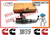 China Fuel Injector Assembly 3081315F 3411759 4384360 3411762 4307516N 3411767T 3407776 3087807 For Cum-mins Engine N14 for sale