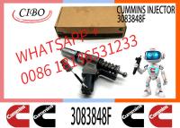 China Diesel Common Rail Diesel Fuel Injector 3411759 3083848F 3411759 4384360 3411762 4307516N 3411767 For Cum-mins QSN14 N14 for sale