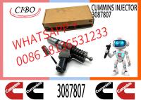 China Fuel Injector Assembly 3087807 3411766F 3080931F 3087733 3095086 3087558F 4307795 6087807 For Cum-mins Engine N14 for sale