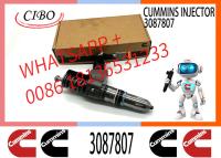 China Fuel Injector Assembly 3087807 3411766F 3080931F 3087733 3095086 3087558F 4307795 6087807 For Cum-mins Engine N14 for sale