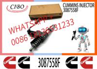 China Fuel Injector 3087558F 4307795 6087807 3083622 3411759 4384360 3411762 4307516N  For CUM-MINS N14 Diesel Engine for sale
