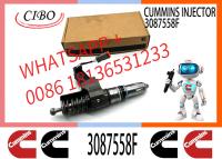 China Fuel Injector 3087558F 4307795 6087807 3083622 3411759 4384360 3411762 4307516N  For CUM-MINS N14 Diesel Engine for sale