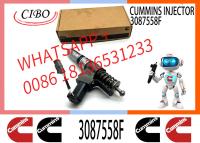 China Fuel Injector 3087558F 4307795 6087807 3083622 3411759 4384360 3411762 4307516N  For CUM-MINS N14 Diesel Engine for sale
