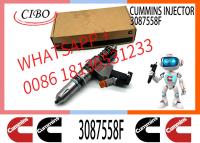 China Fuel Injector 3087558F 4307795 6087807 3083622 3411759 4384360 3411762 4307516N  For CUM-MINS N14 Diesel Engine for sale