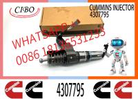 China Diesel Fuel Injector 4307795 4384360 3083622 3411759 4384360 3411762 4307516N 3411767T 3407776 3087807 341176 for N14 for sale