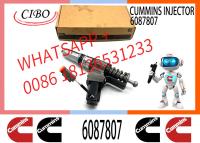China Common Rail Diesel Fuel Injector 4307516 6087807 3080931F 3411767T 3407776 3087807 341176 3409975 For Cum-mins QSN14 N14 for sale