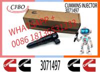 China NTA855 fuel injector 3071497 3064457 3071494 3411821 3087648 3018835 for cum-mins for sale