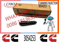 China Common rail injector fuel injecto 3054218 3054253 3032392 4914325 for PT Excavator NTA855 for sale