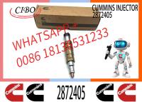 China Fuel Injector Assembly 2872405 4905880 2894920PX 2482244 2488244 4327147 2872056 2872284 For Scania ISZ13 for sale