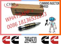 China Fuel Injector Assembly 2894920 2030519 2031836 2872289 2086663 2058444 2031386 For Cum-mins Engine for sale