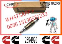 China Fuel Injector Assembly 2894920 2030519 2031836 2872289 2086663 2058444 2031386 For Cum-mins Engine for sale