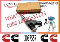 China Diesel Engine Fuel Injector 3411752 3084589 3087557 3083863 3411752 3411761 4307547 For CUM-MINS ISM QSM M11 Engine for sale