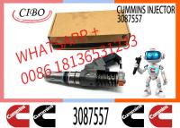 China Diesel Engine Fuel Injector 3411752 3084589 3087557 3083863 3411752 3411761 4307547 For CUM-MINS ISM QSM M11 Engine for sale