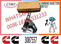 China Diesel Engine Fuel Injector 3411752 3084589 3087557 3083863 3411752 3411761 4307547 For CUM-MINS ISM QSM M11 Engine for sale