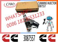China Diesel Engine Fuel Injector 3411752 3084589 3087557 3083863 3411752 3411761 4307547 For CUM-MINS ISM QSM M11 Engine for sale