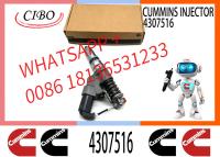 China Fuel Injector 3083849 3087557 4307516 3411845 3083863 3411752 3411761 4307547 4928171 3411754 For QSM11 ISM11 M11 for sale