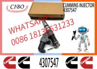 China Diesel M11 Engine Fuel Injector Assembly 4026222 4903084 3083871 3411752 3411761 4307547 4928171 3411753 3037772 for sale
