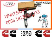 China Diesel Common Rail Fuel Injector Assembly 4307516 3087560 4384360 3411762 4307516N 4384360 for Cum-mins N14 engine for sale