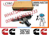 China Diesel Common Rail Fuel Injector Assembly 4307516 3087560 4384360 3411762 4307516N 4384360 for Cum-mins N14 engine for sale
