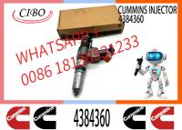 China Diesel Common Rail Fuel Injector Assembly 4307516 3087560 3407776 3087807 4384360 for Cum-mins N14 engine for sale