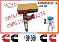 China Diesel Common Rail Fuel Injector Assembly 4307516 3087560 3407776 3087807 4384360 for Cum-mins N14 engine for sale