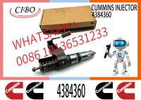 China Diesel Common Rail Fuel Injector Assembly 4307516 3087560 3407776 3087807 4384360 for Cum-mins N14 engine for sale