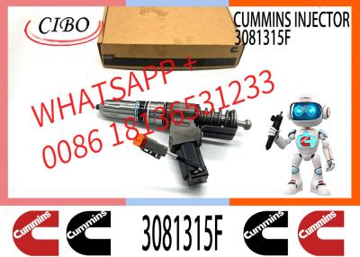 China Fuel Injector Assembly 3081315F 4384360 3411762 4307516N 3411767T 3407776 3087807 341176 3409975 For Cum-mins Engine N14 for sale