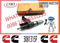 China Fuel Injector Assembly 3081315F 4384360 3411762 4307516N 3411767T 3407776 3087807 341176 3409975 For Cum-mins Engine N14 for sale