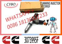 China Fuel Injector Assembly 3073995F 3083622 3411759 4384360 3411762 4307516N 3411767T 3407776 For Cum-mins Engine N14 for sale
