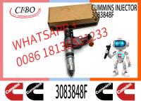 China Diesel Common Rail Diesel Fuel Injector 3411759 3083848F 3411766F 3080931F 3087558F 4307795 For Cum-mins QSN14 N14 for sale