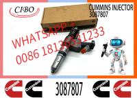 China common rail fuel injector 3411764 3087733 3411766 3083846 3083622 3411759 4384360 3087807 for Cum-mins Engine N14 for sale