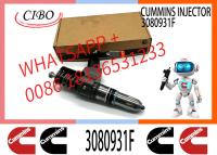 China Fuel Injector Assembly 3080931F 3087733 3095086 3411767 3411764 3081315F 3073995F 3083846T For Cum-mins Engine N14 for sale