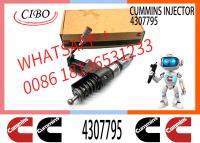 China Diesel Fuel Injector 4307795 4384360 3411762 4307516N 3411767T 3407776 3087807 341176 3409975 for N14 QSN14 for sale