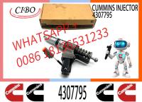 China Diesel Fuel Injector 4307795 4384360 3411762 4307516N 3411767T 3407776 3087807 341176 3409975 for N14 QSN14 for sale