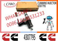 China Diesel Fuel Injector 4307795 4384360 3411762 4307516N 3411767T 3407776 3087807 341176 3409975 for N14 QSN14 for sale