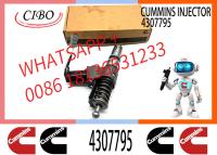 China Diesel Fuel Injector 4307795 4384360 3411762 4307516N 3411767T 3407776 3087807 341176 3409975 for N14 QSN14 for sale